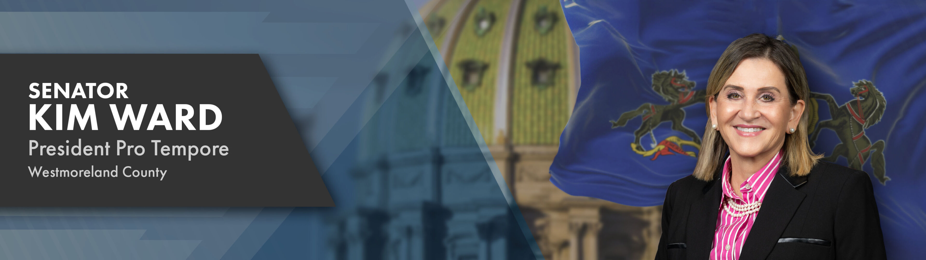 Biography - Senator Ward, K